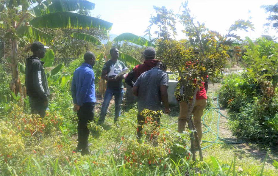 The Gumbi Alton Paradise Project | Alton Climate Action Network