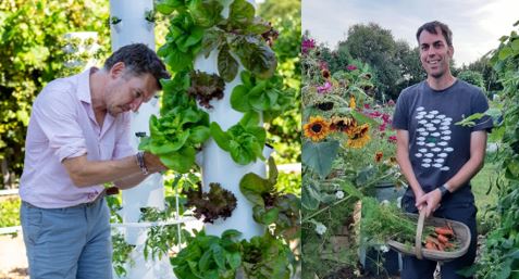 Growing Food in an Urban Environment | Alton Climate Action Network